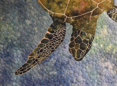 Sue Sherman Quilts