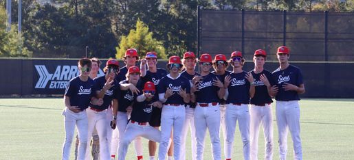 UsaScoutbaseball