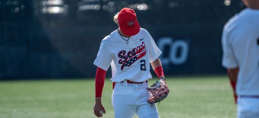 USA Scout Baseball - Baseball, Travel Baseball