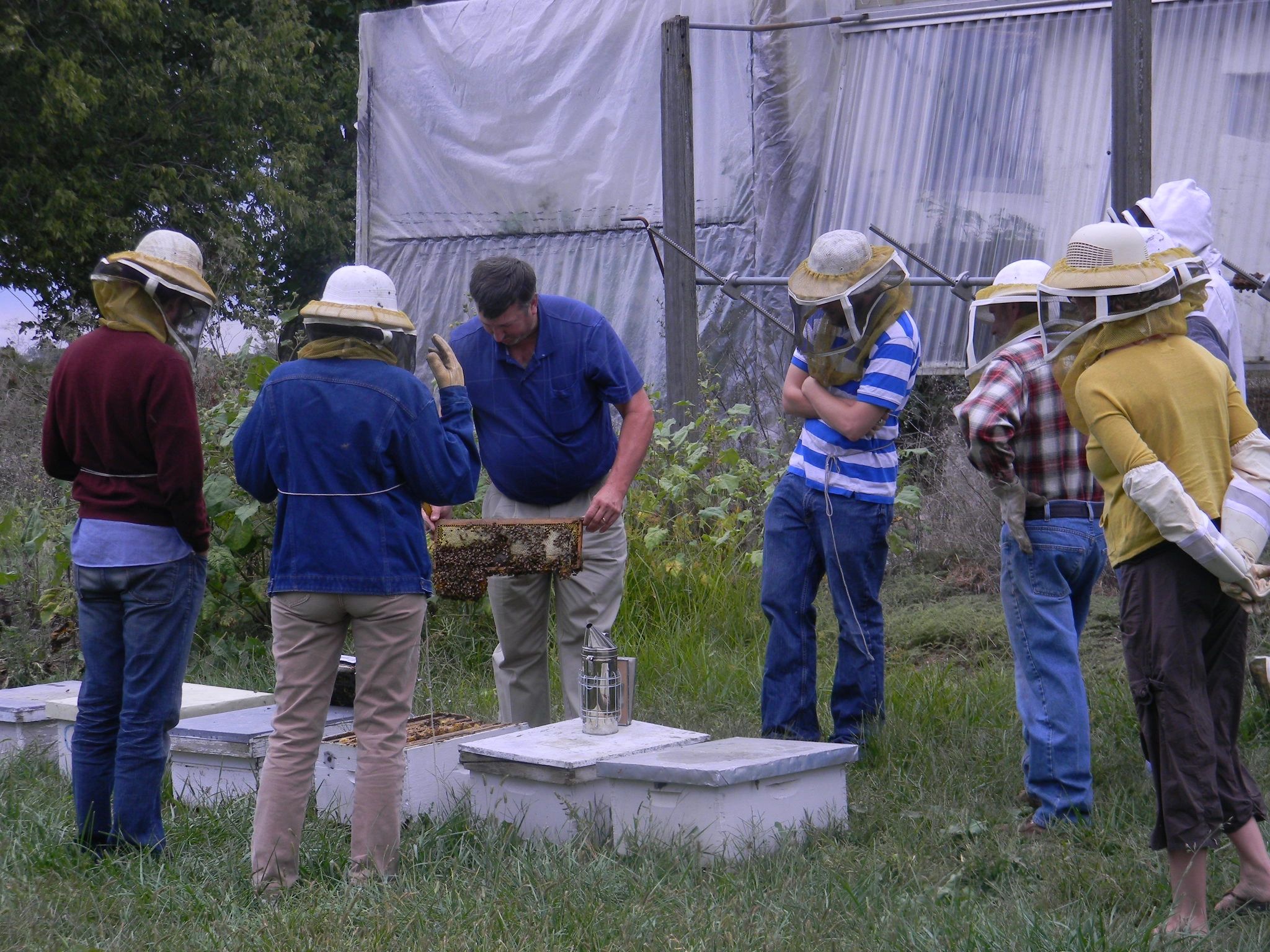 Anthony's Beehive - THE BEE STORE - Local Honey, Beekeeping