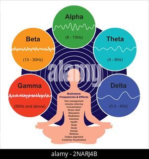 How Meditation Shapes the Brain: What EEG and MEG Reveal