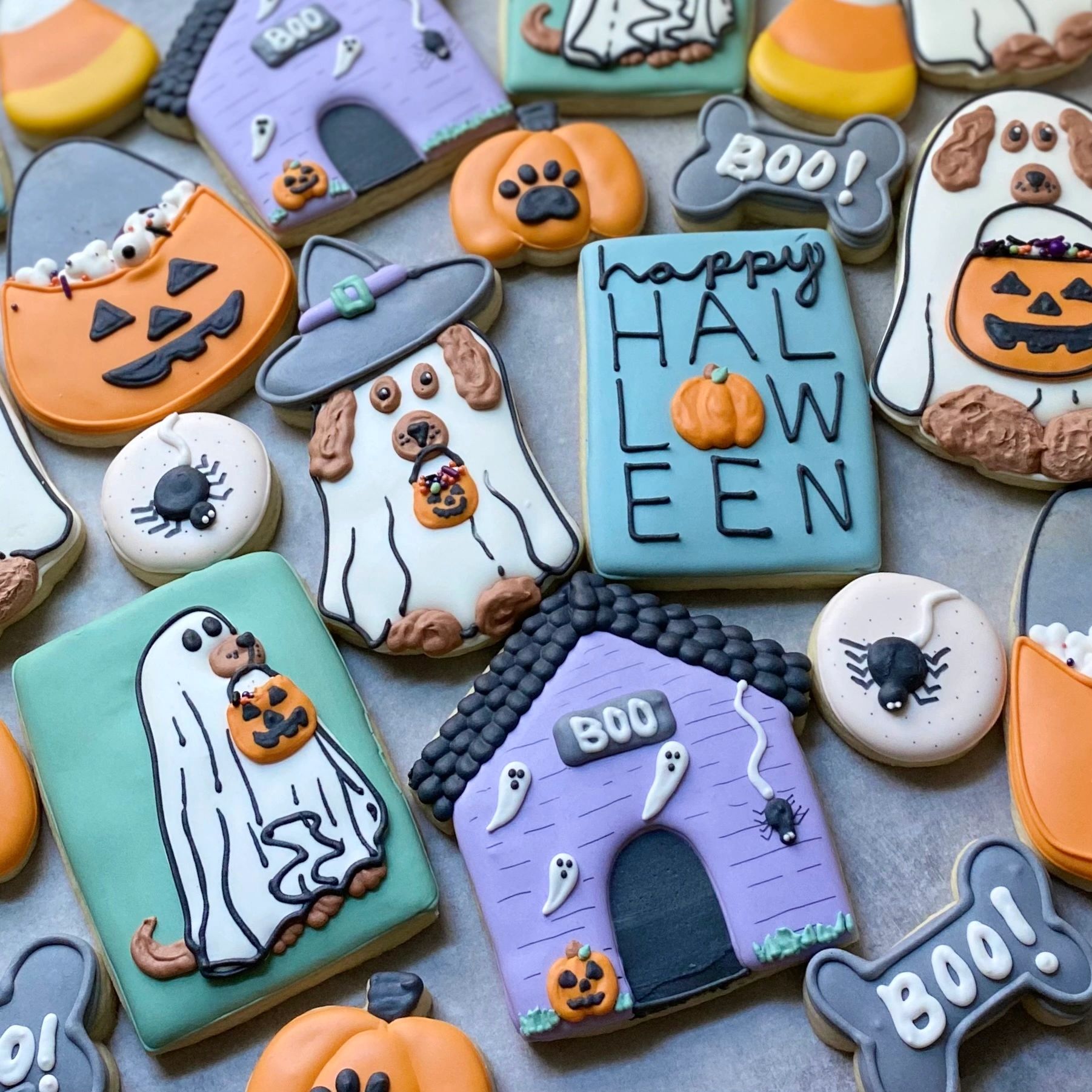 Sifting Sugar - Sugar Cookie - Gilbert, Arizona