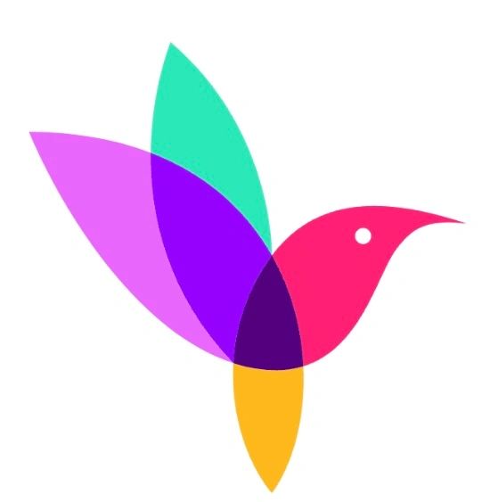 Disability Support Services - Honest Care Group Australia