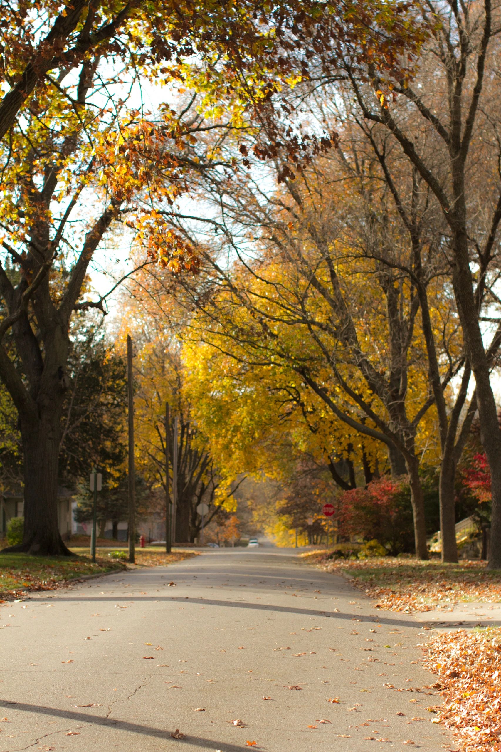 Red Oak Heritage Foundation in Red Oak, Iowa