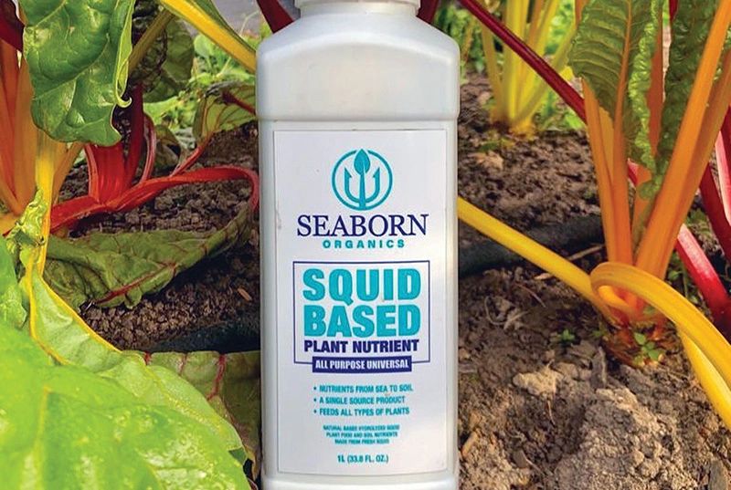Organically Certified Squid Juice