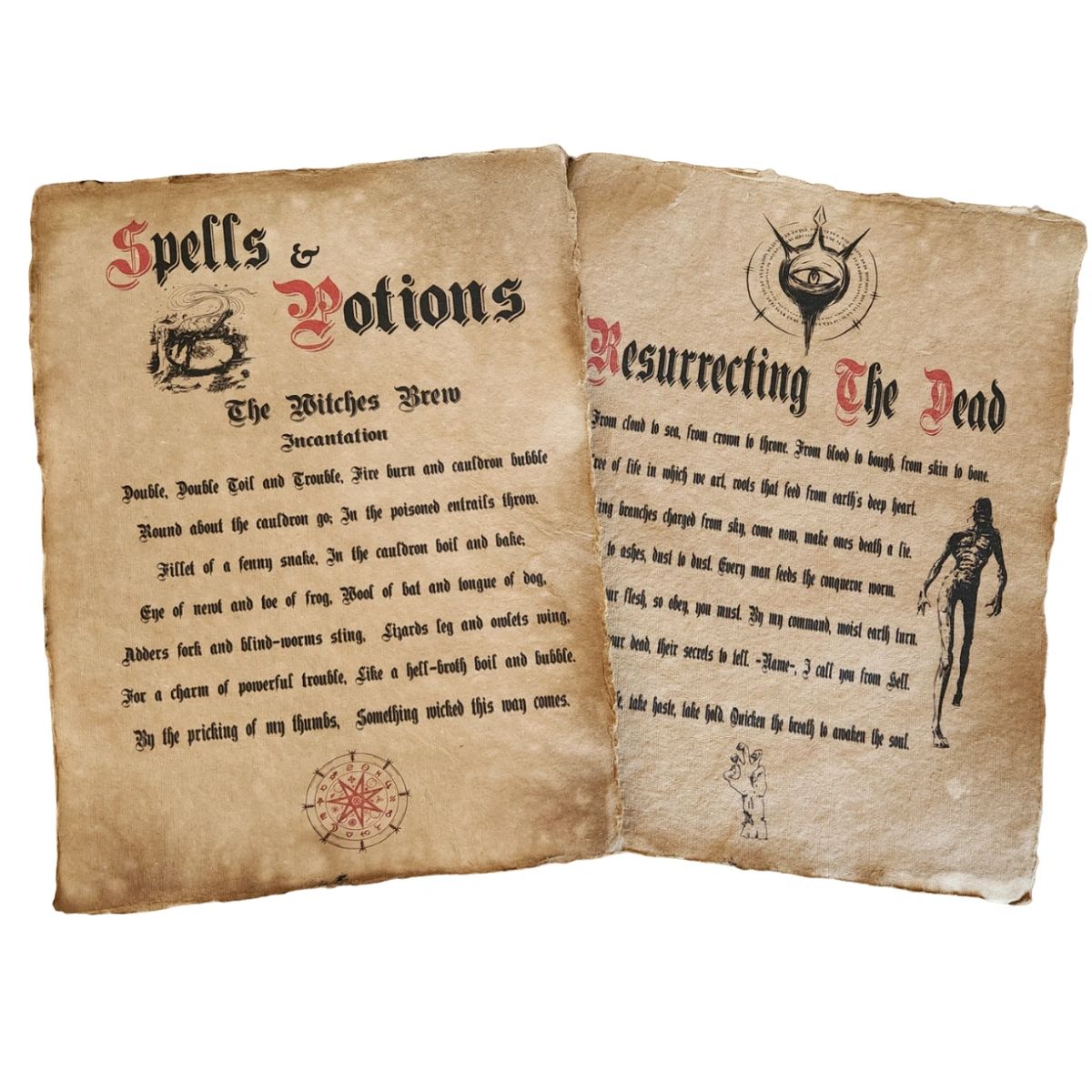 Witches Spell Book aged printed book pages, Halloween Prop by Dead Head ...