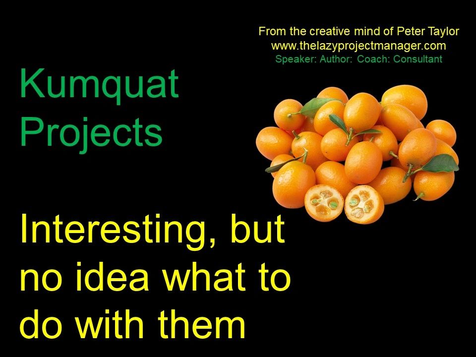 Project Fruit - Kumquat