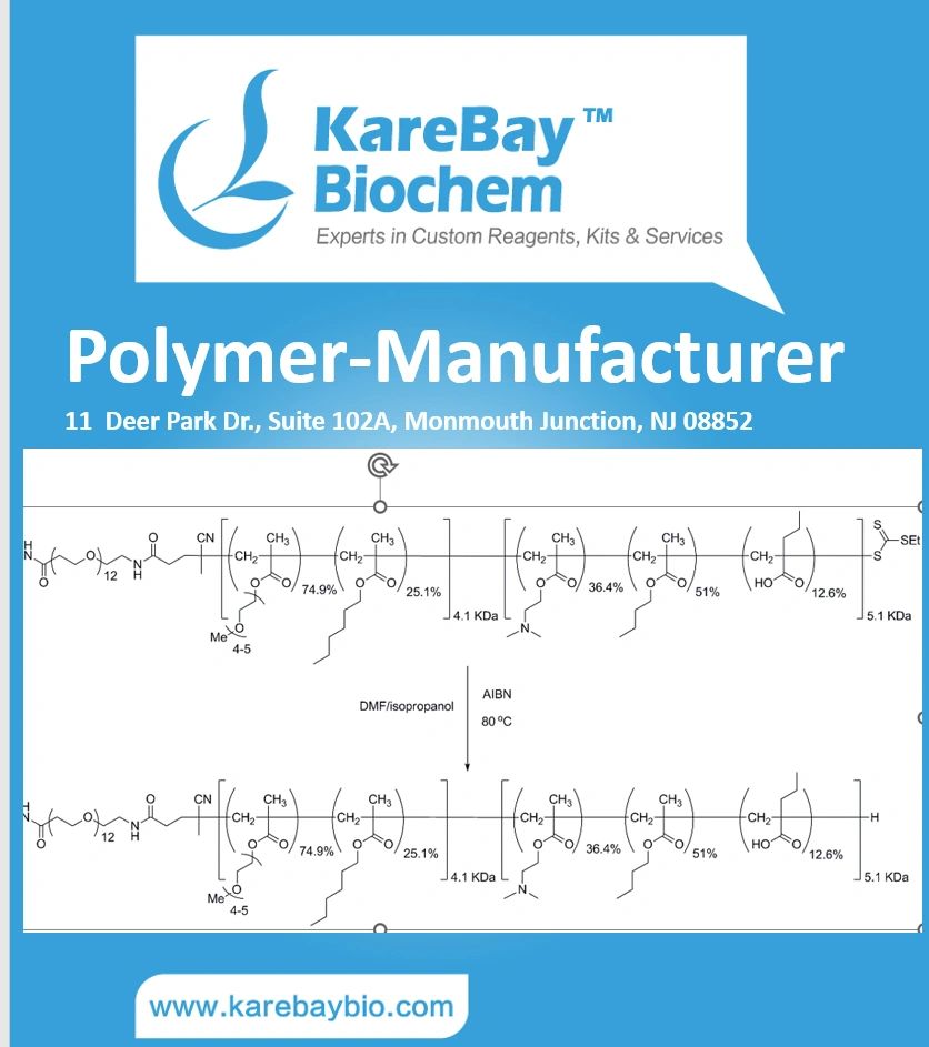 Polymer Synthesis Service-KareBay Biochem