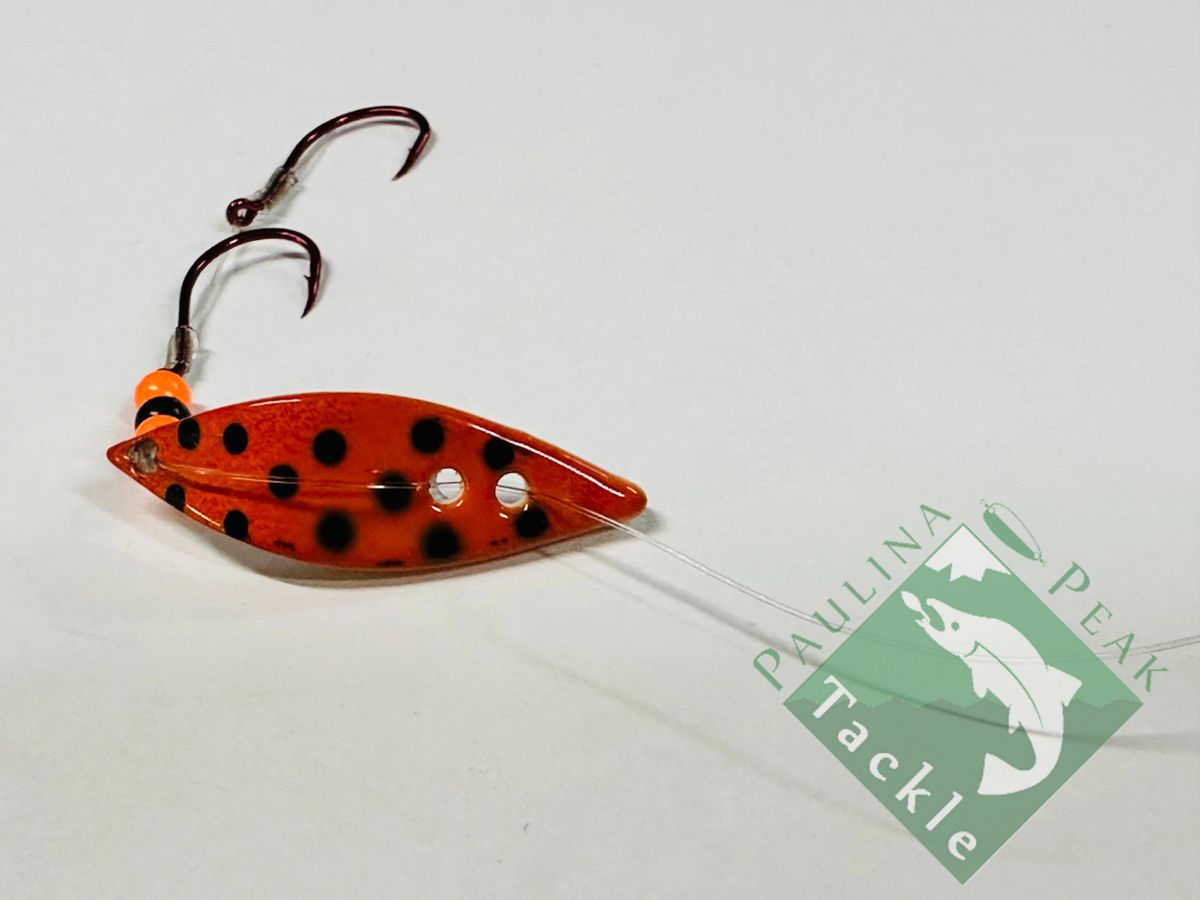 PtSFB-2113 Orange Black Dots Moon Back Platinum Skinny Flutter Bug