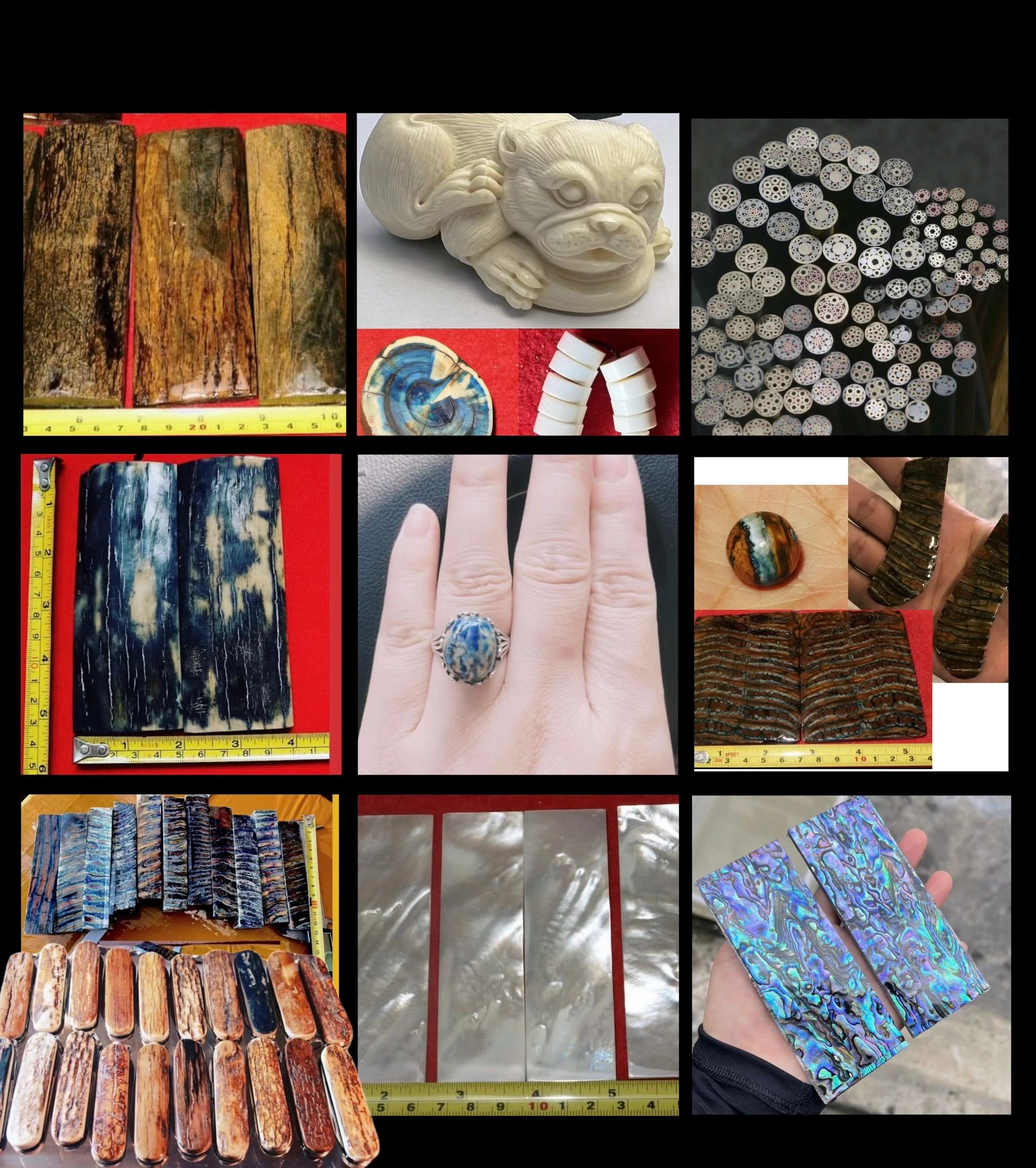 Nini's Exotic Materials and fossil collection - Fossil, Woolly Rhino