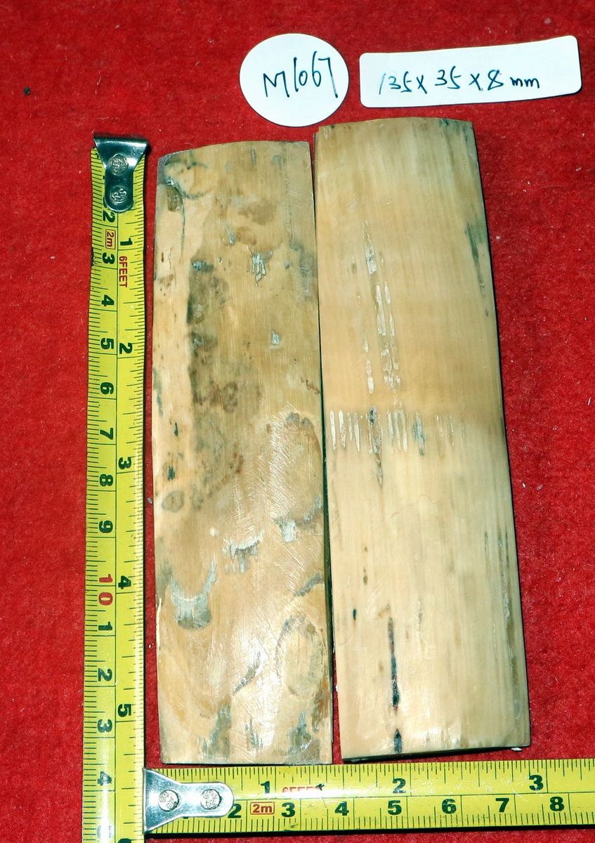 M1067 LARGE SIZE brown color mammoth ivory knife scales handles