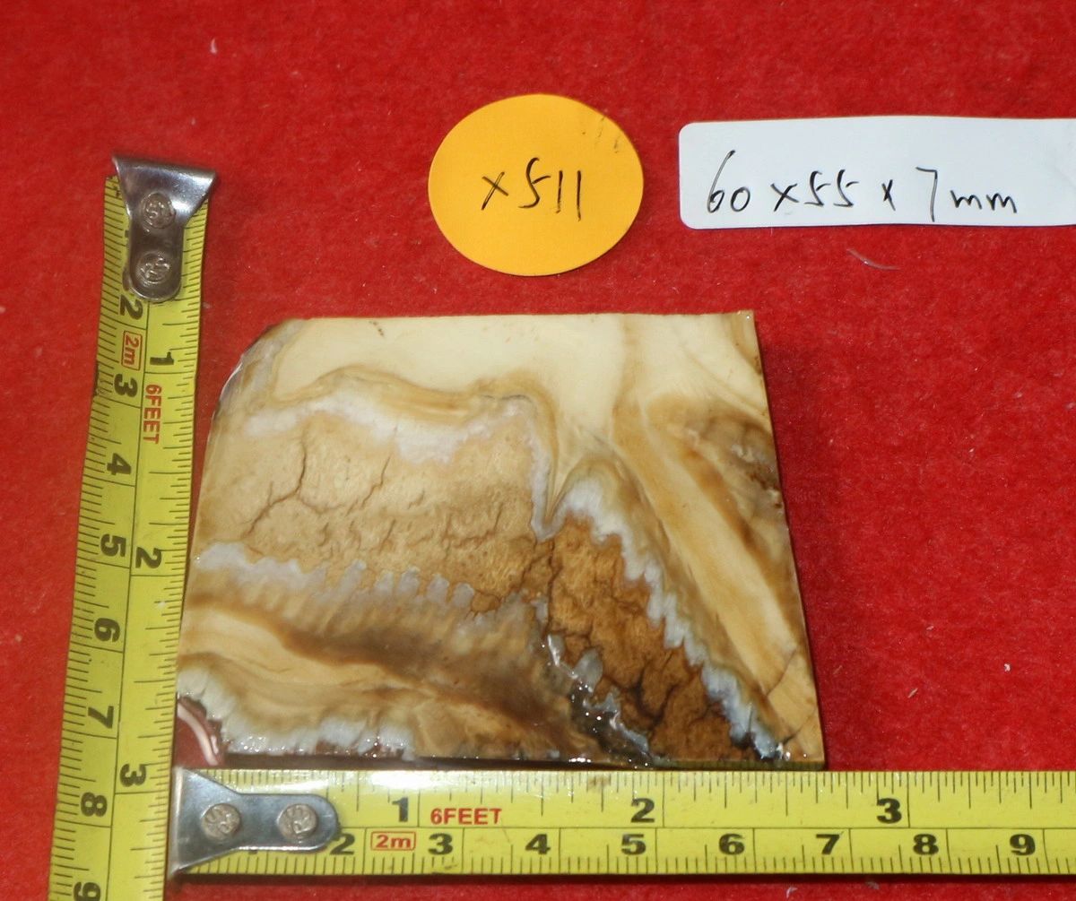 SOLD! x511 single piece mammoth teeth tooth molar blank scales 60*55*7mm