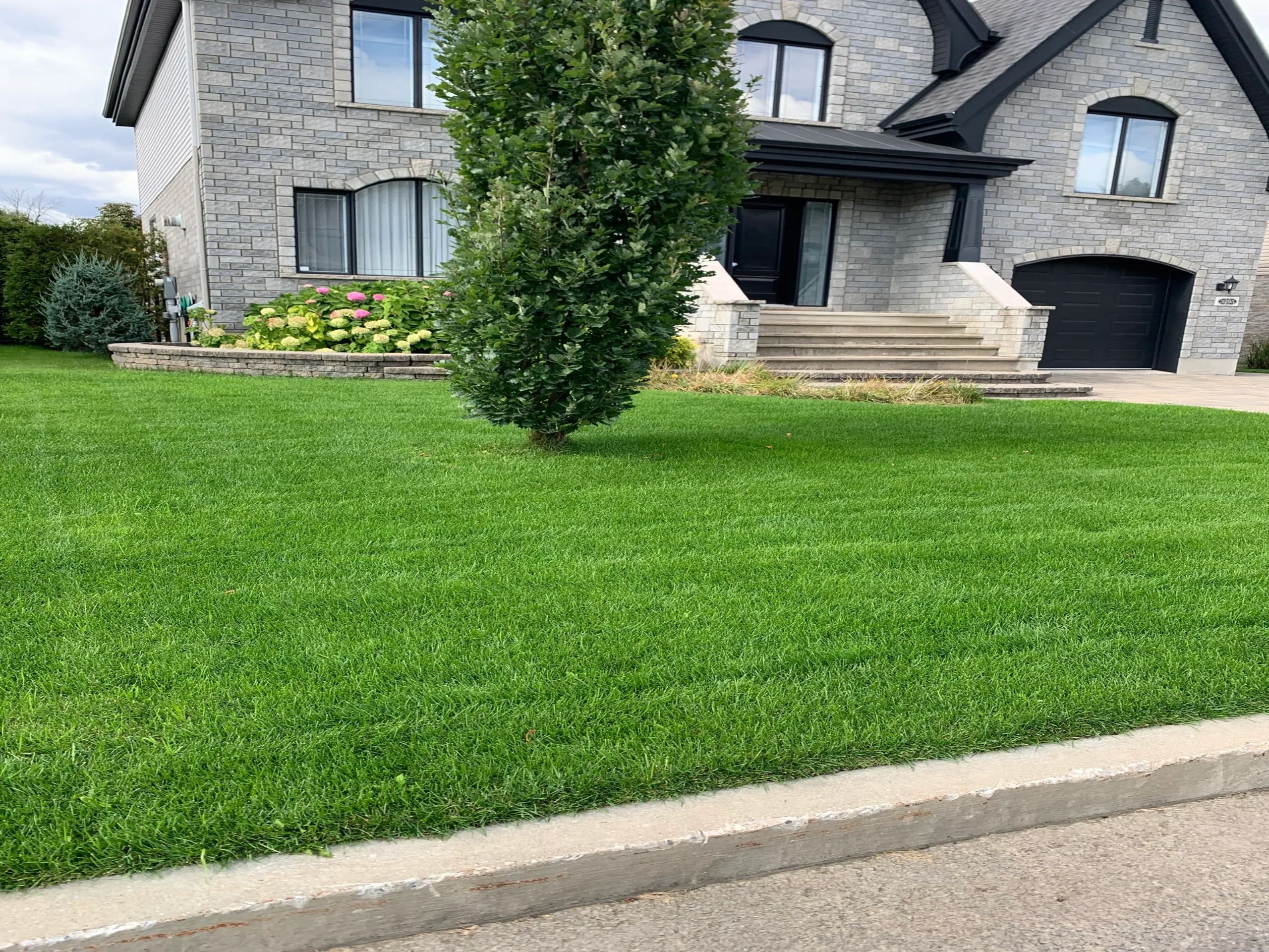 Traitement De Pelouse - Ferti Expert