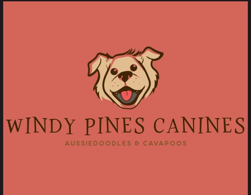 Windy Pines Canines