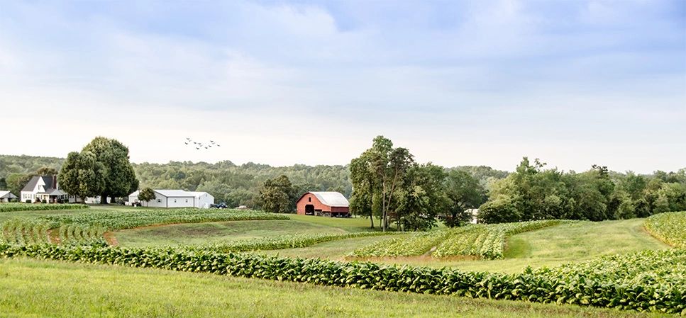 About | The Backroads Studio