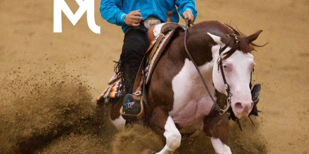 Epic Titan | Hacienda Soñador quarter horses