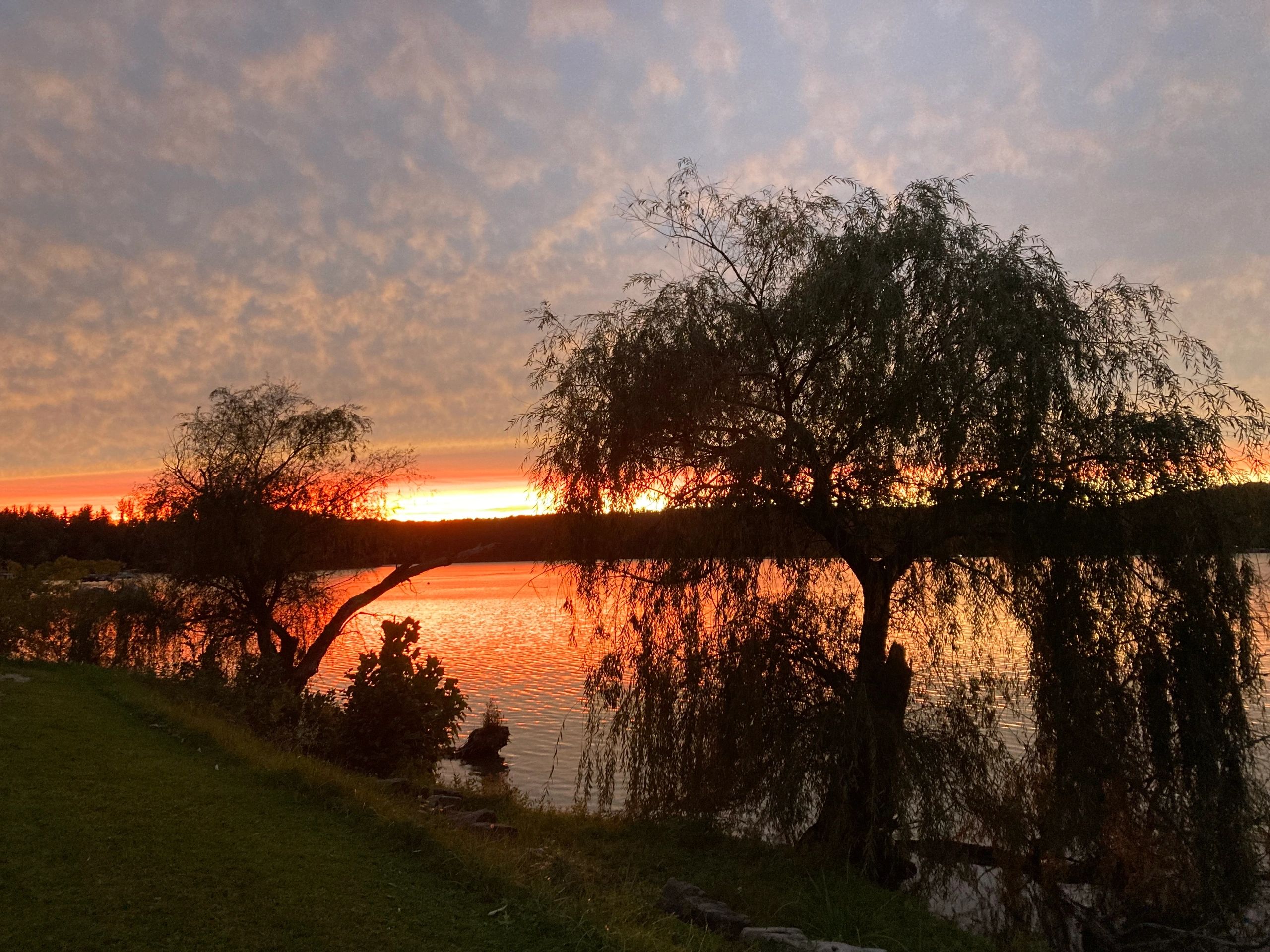 CDC Community Development - ACDC Website