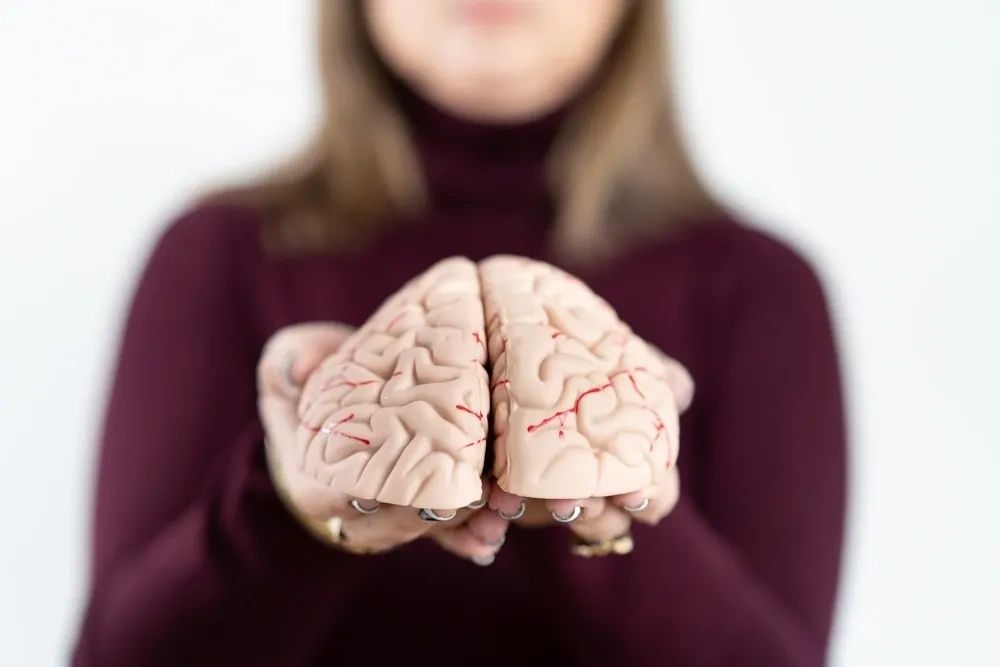 NEUROFIT Neurological Fitness Program