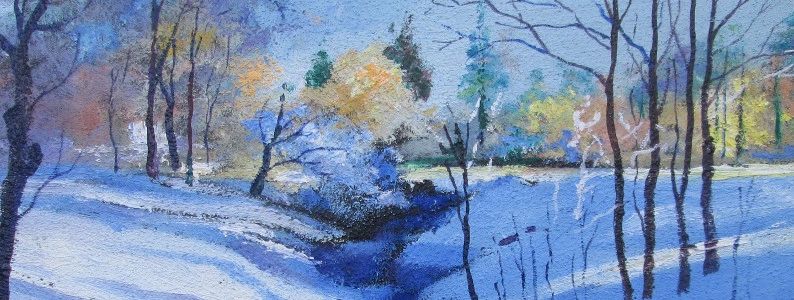 Biography | Davy Brown Artist