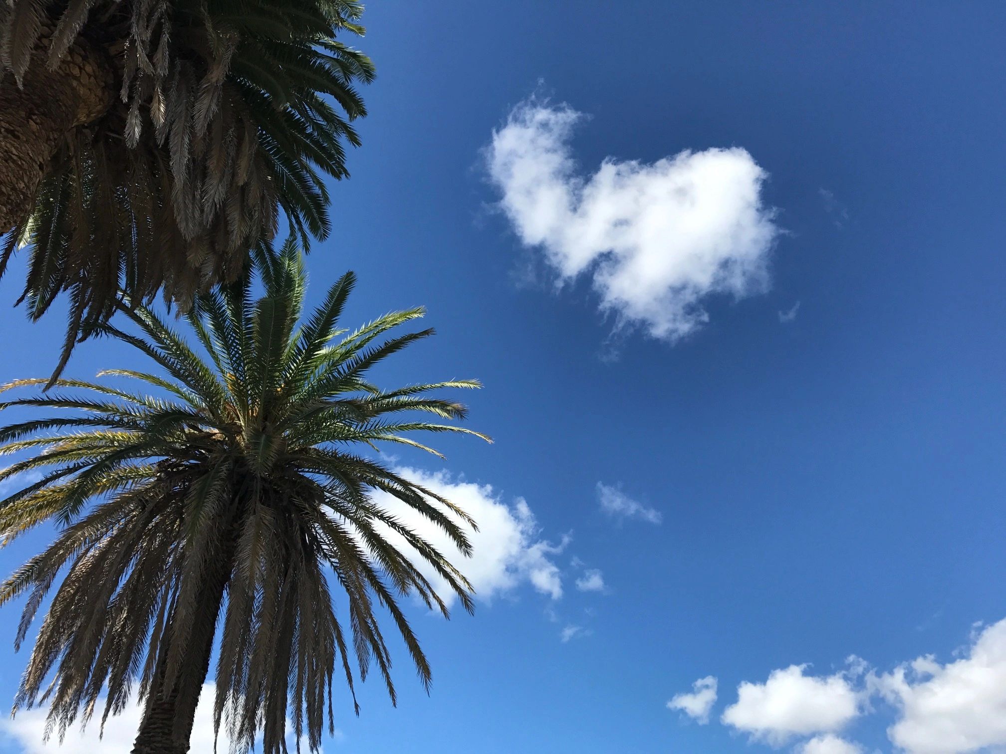 Pacific Sky Partners