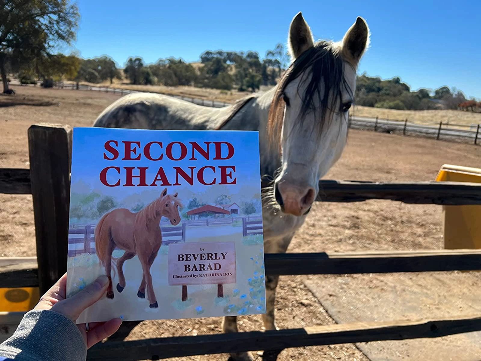 Horse Tales Rescue