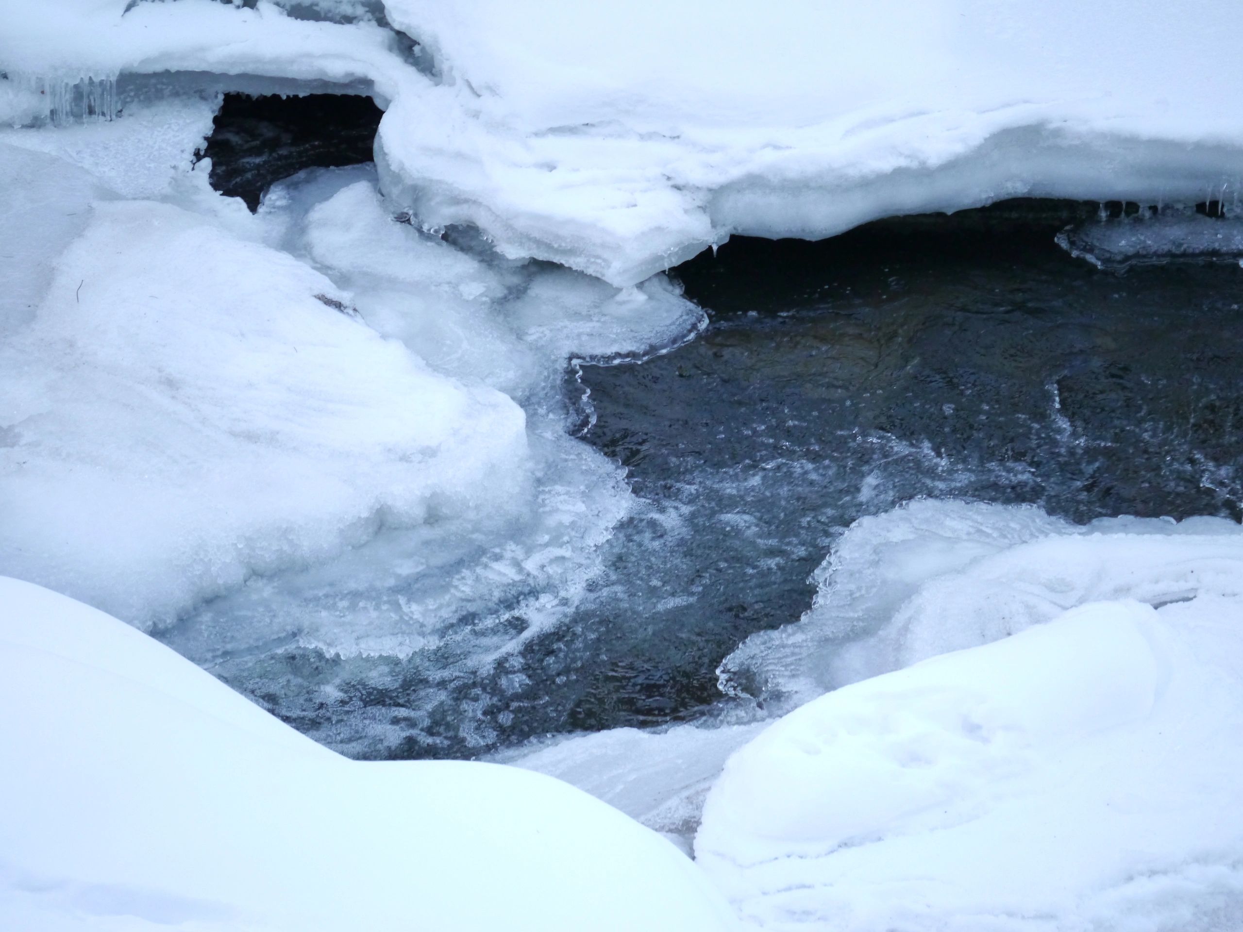 Election Information