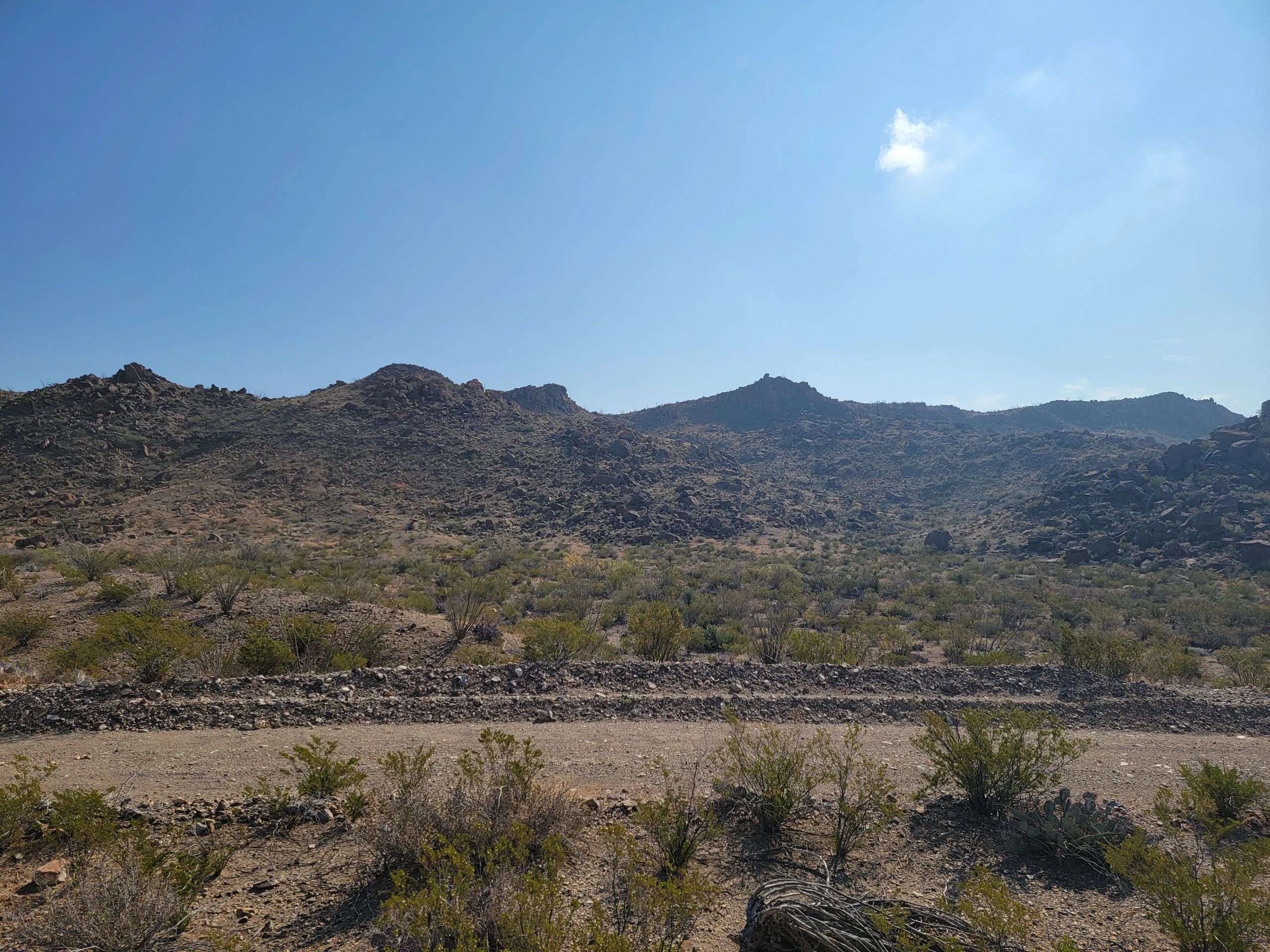 Big Bend Realty - Big Bend Real Estate, Real Estate Agent, Big Bend ...