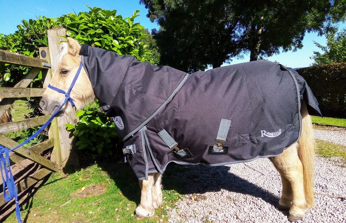 SHETLAND MEDIUMWEIGHT 200gms TURNOUT RUG WITH NECK