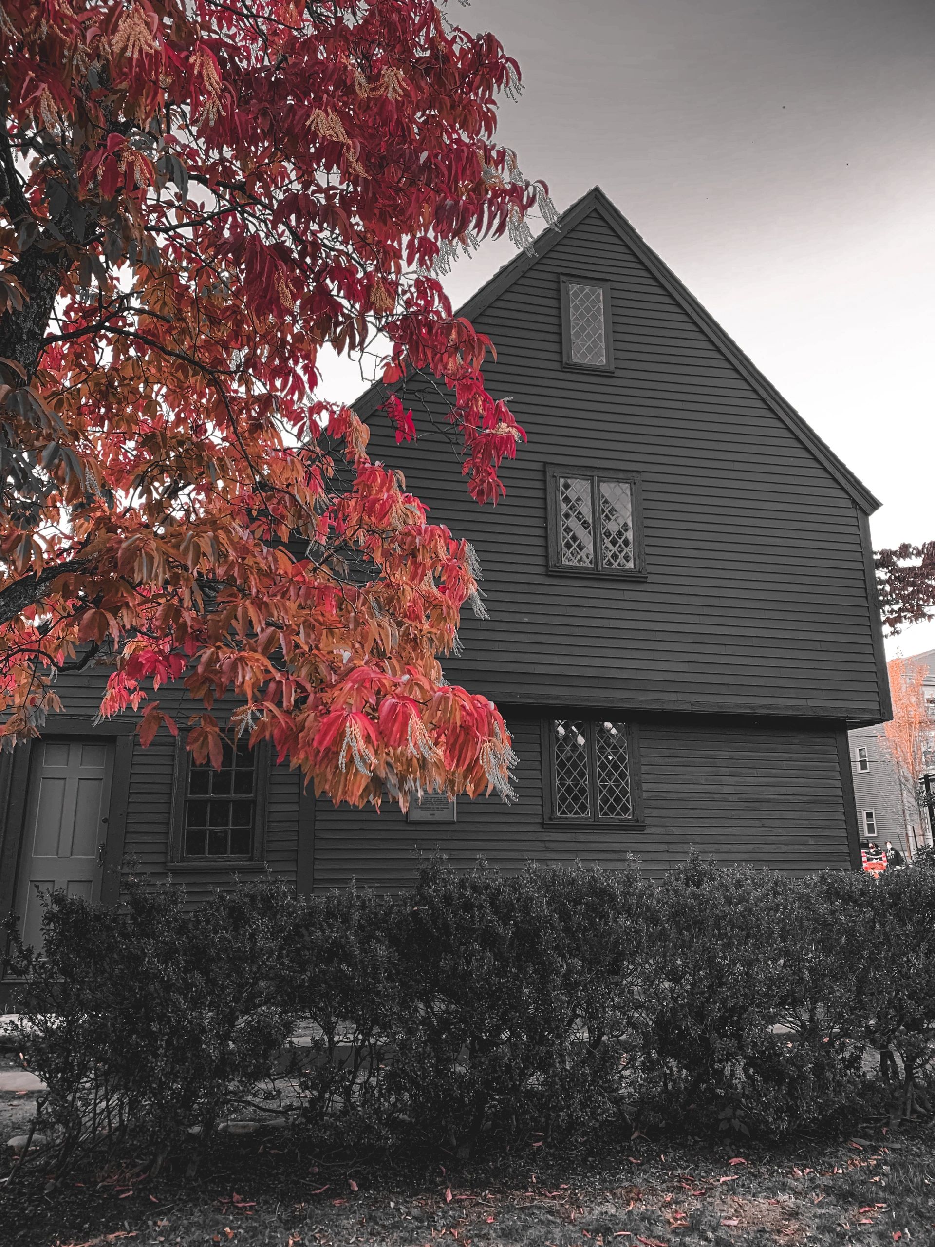 Explore the Ghostly World at The Paranormal Princess