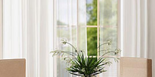 Adams Design and Construction