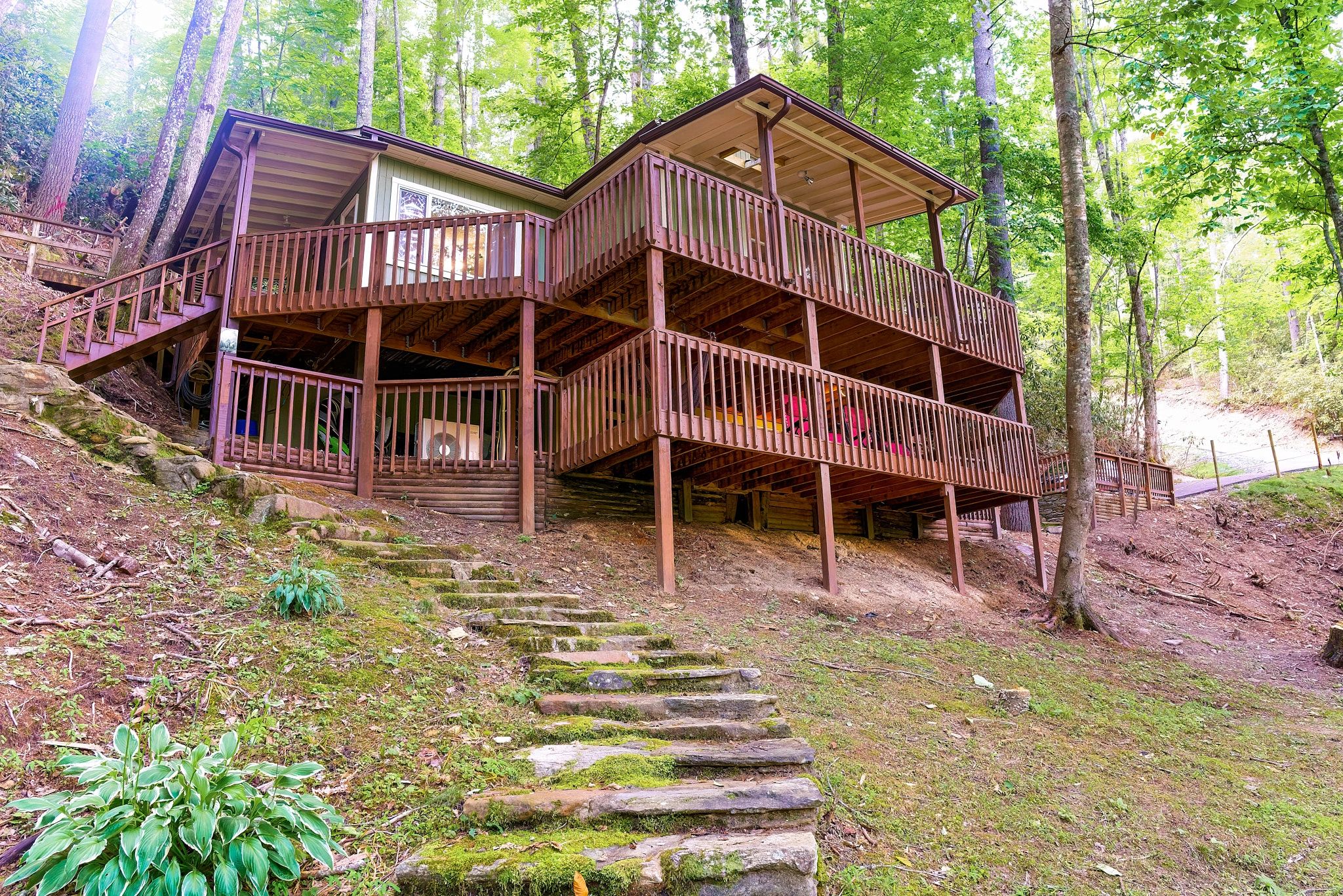 Roho's Cabin
