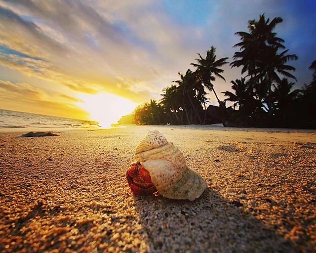 GLOBAL TRAVEL CONNOISSEURS