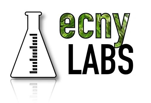 Online payment @ Ecny