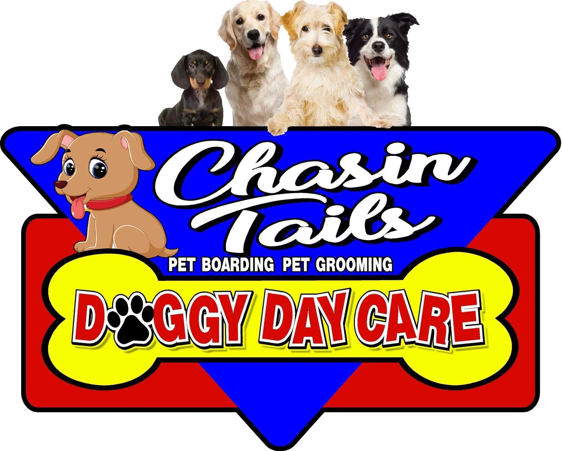 Premium Pet Boarding and Doggy Daycare Services