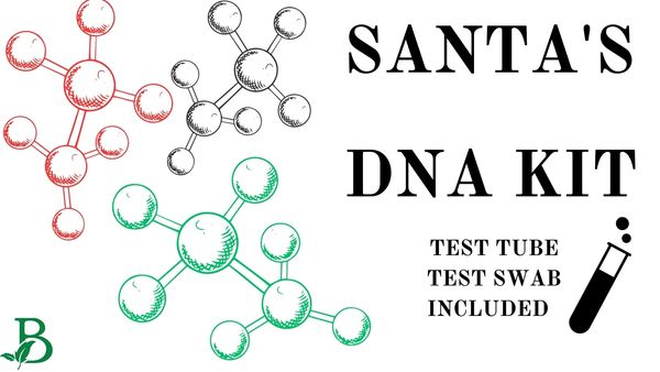 Santa's DNA Kit - Beleaf Toys LLC