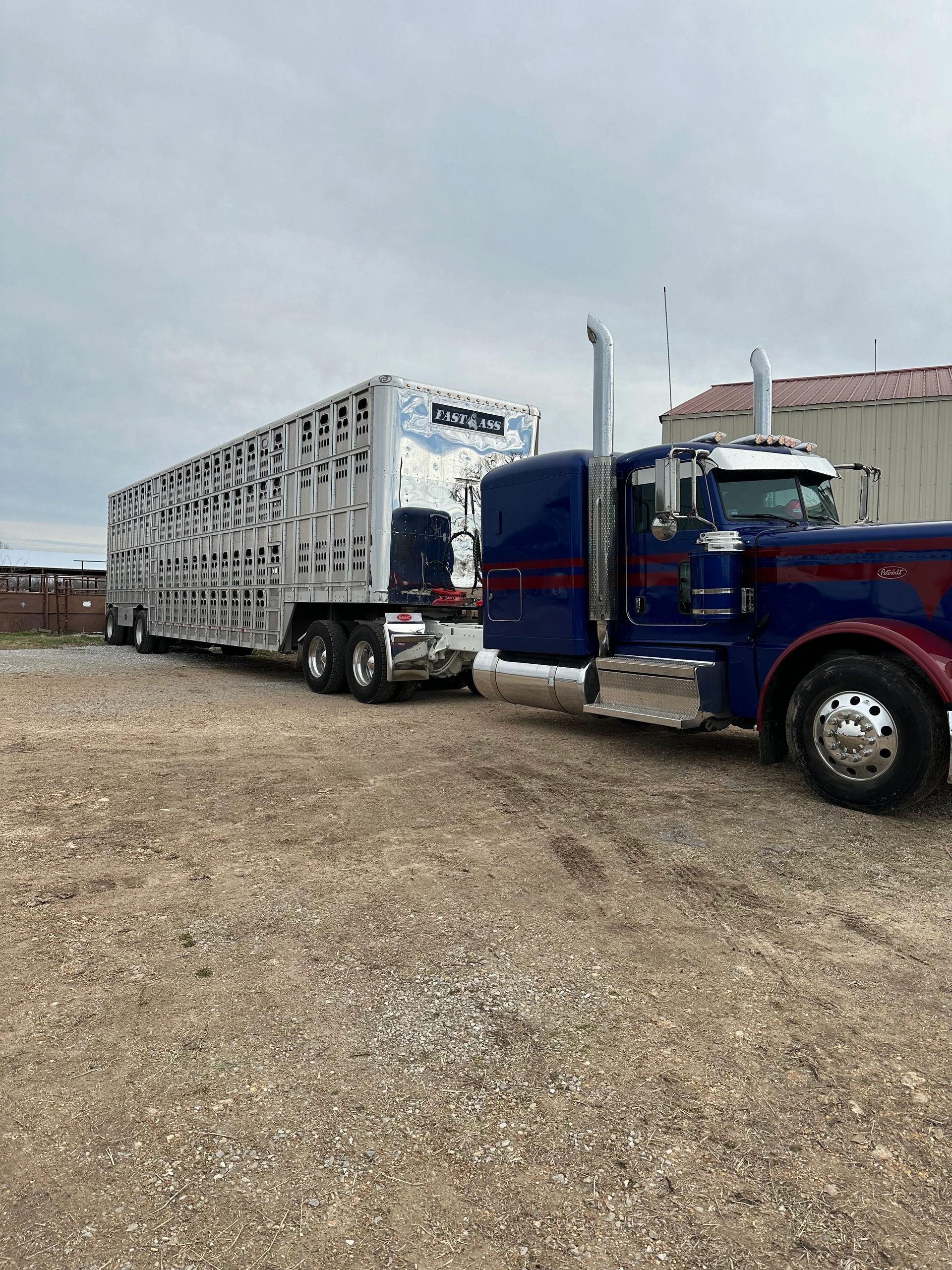 Fast Ass Trucking LLC