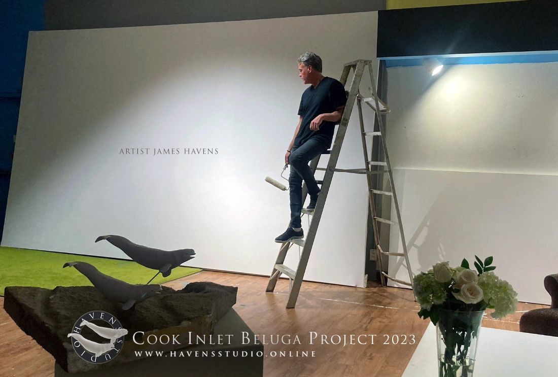 Cook Inlet Beluga Project