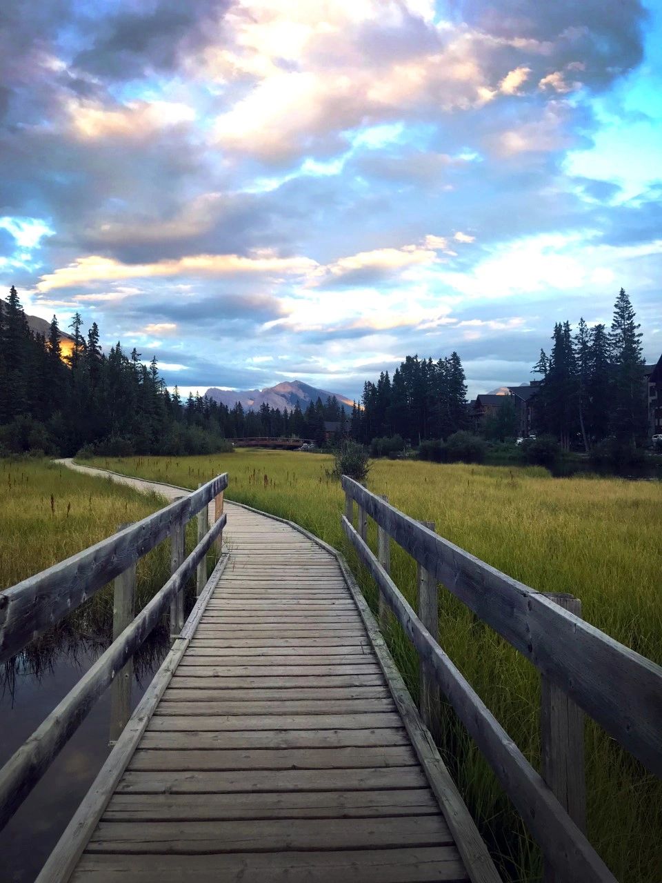 Pathways Counselling and Therapy