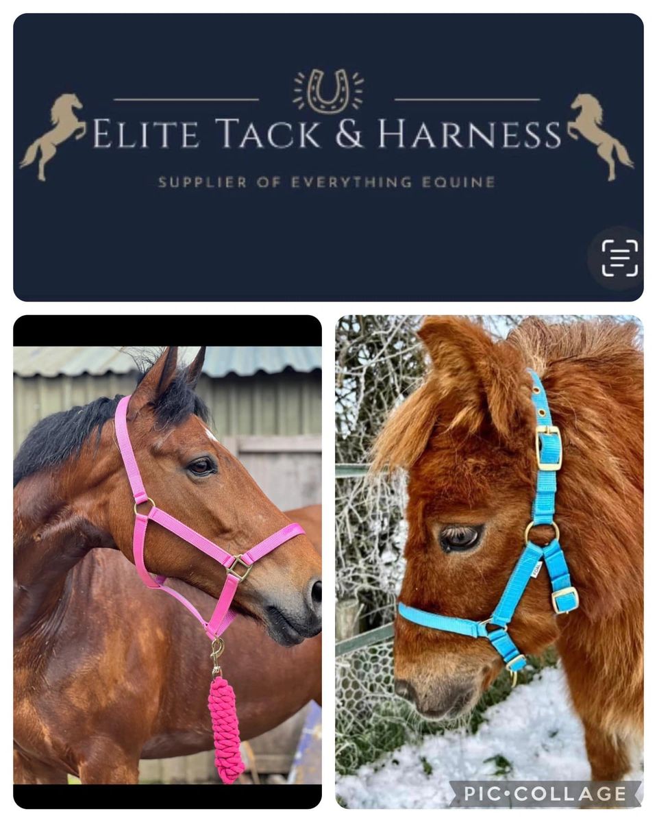 10 Nylon Head Collars