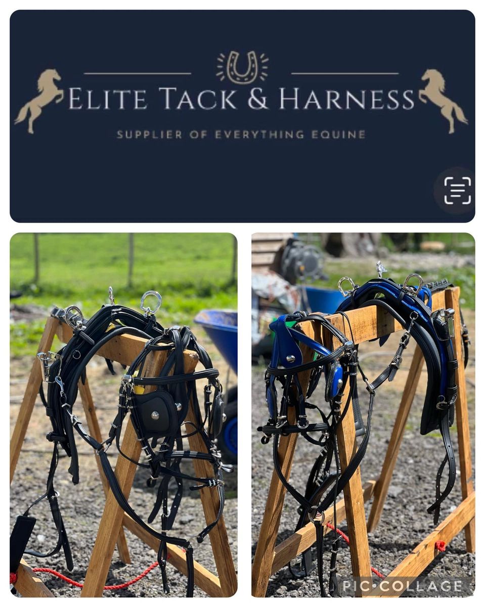 Quick Hitch Harness