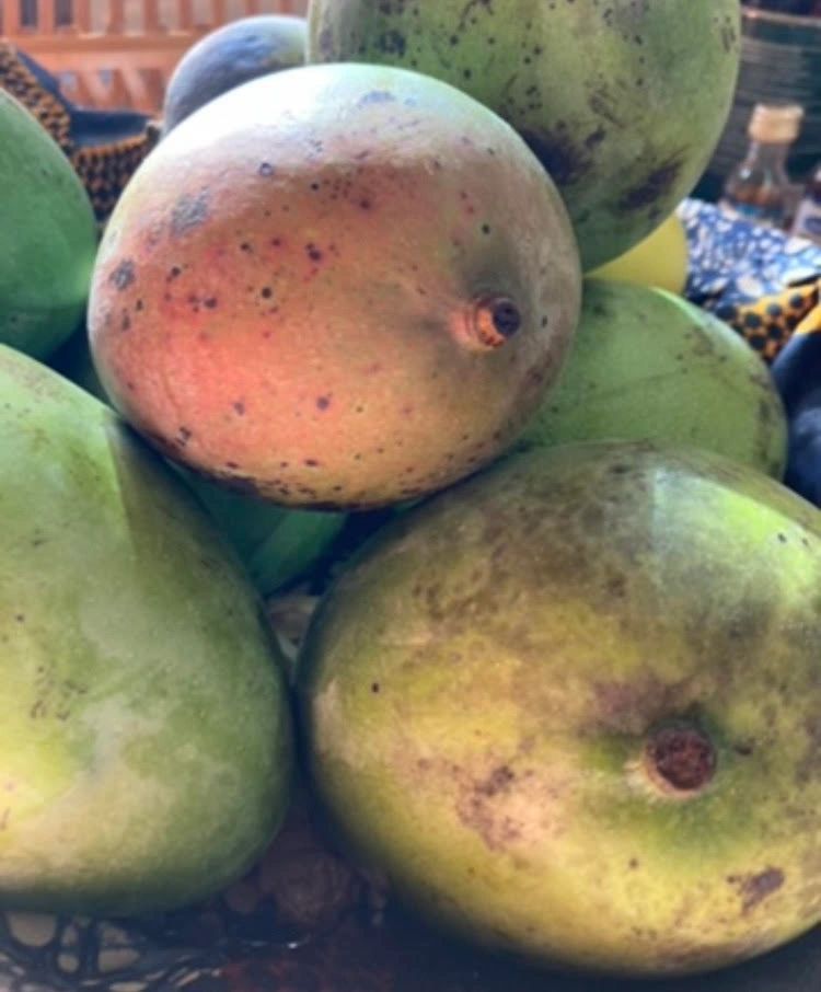 IMango Season! Let's Make Mango Juice