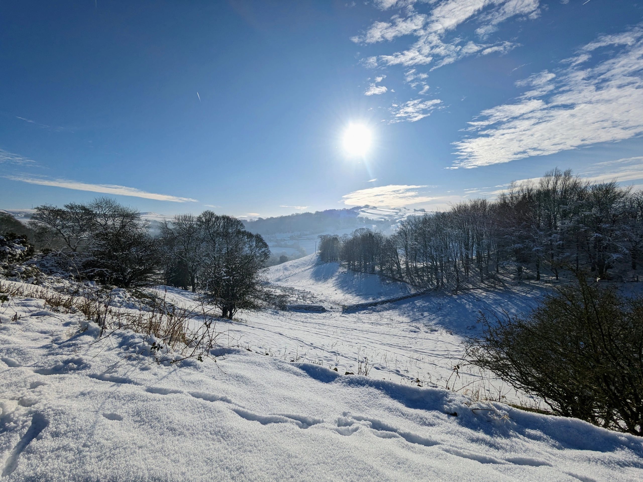 Alison Rowland Art - Artist, Prints, Painting