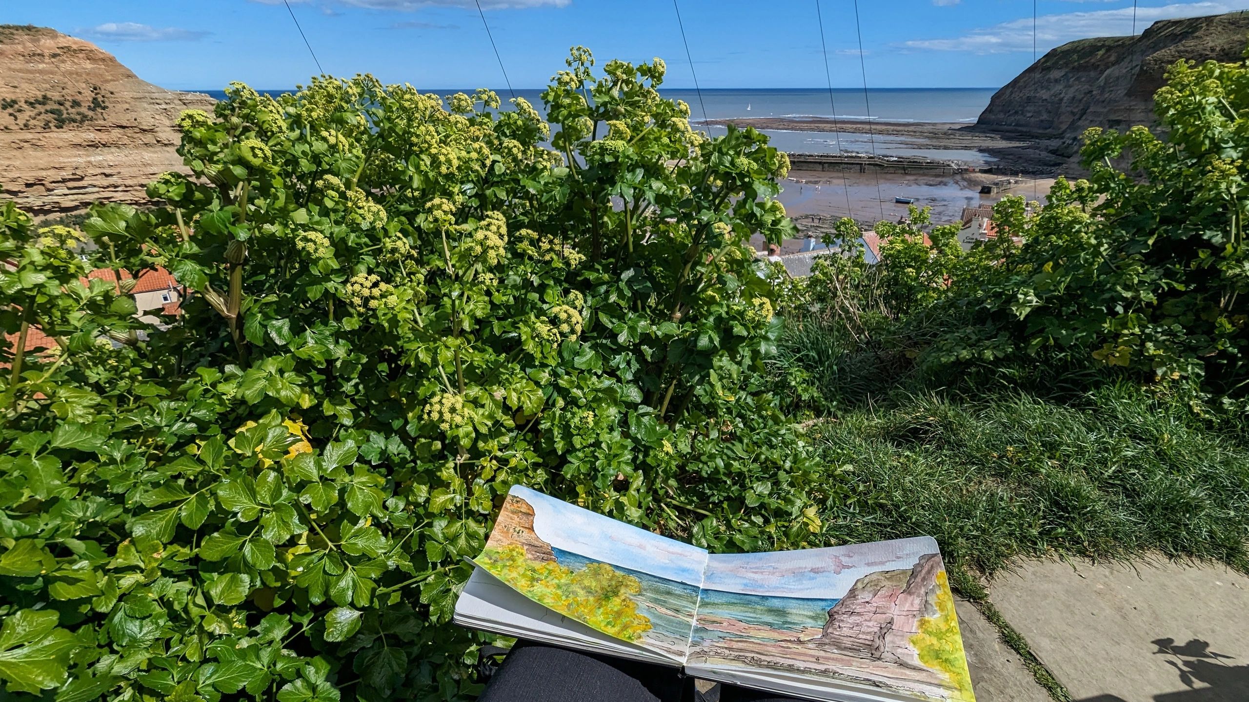 Alison Rowland Art - Artist, Prints, Painting