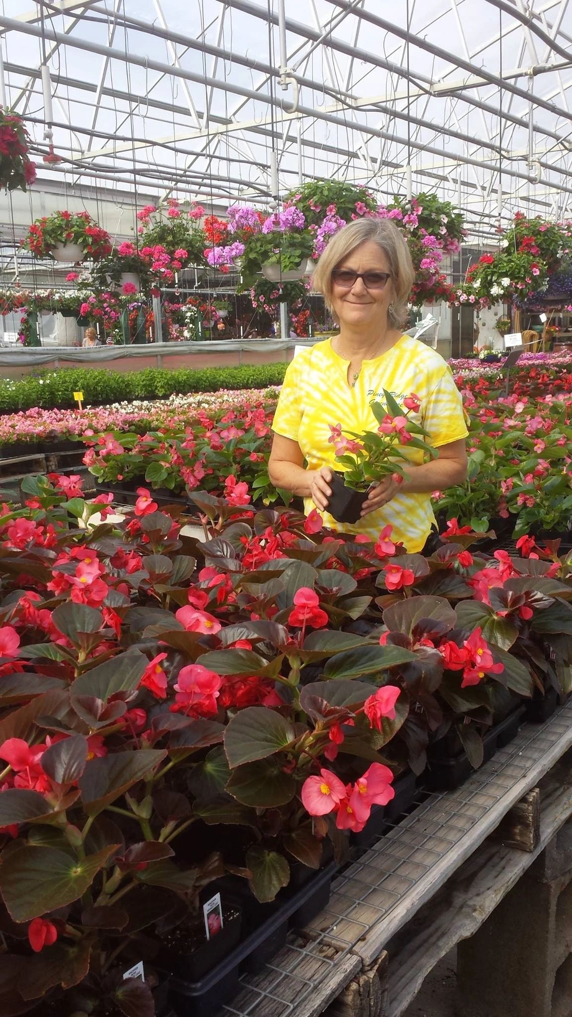 Piney Ridge - Piney Ridge Greenhouse, Garden Center