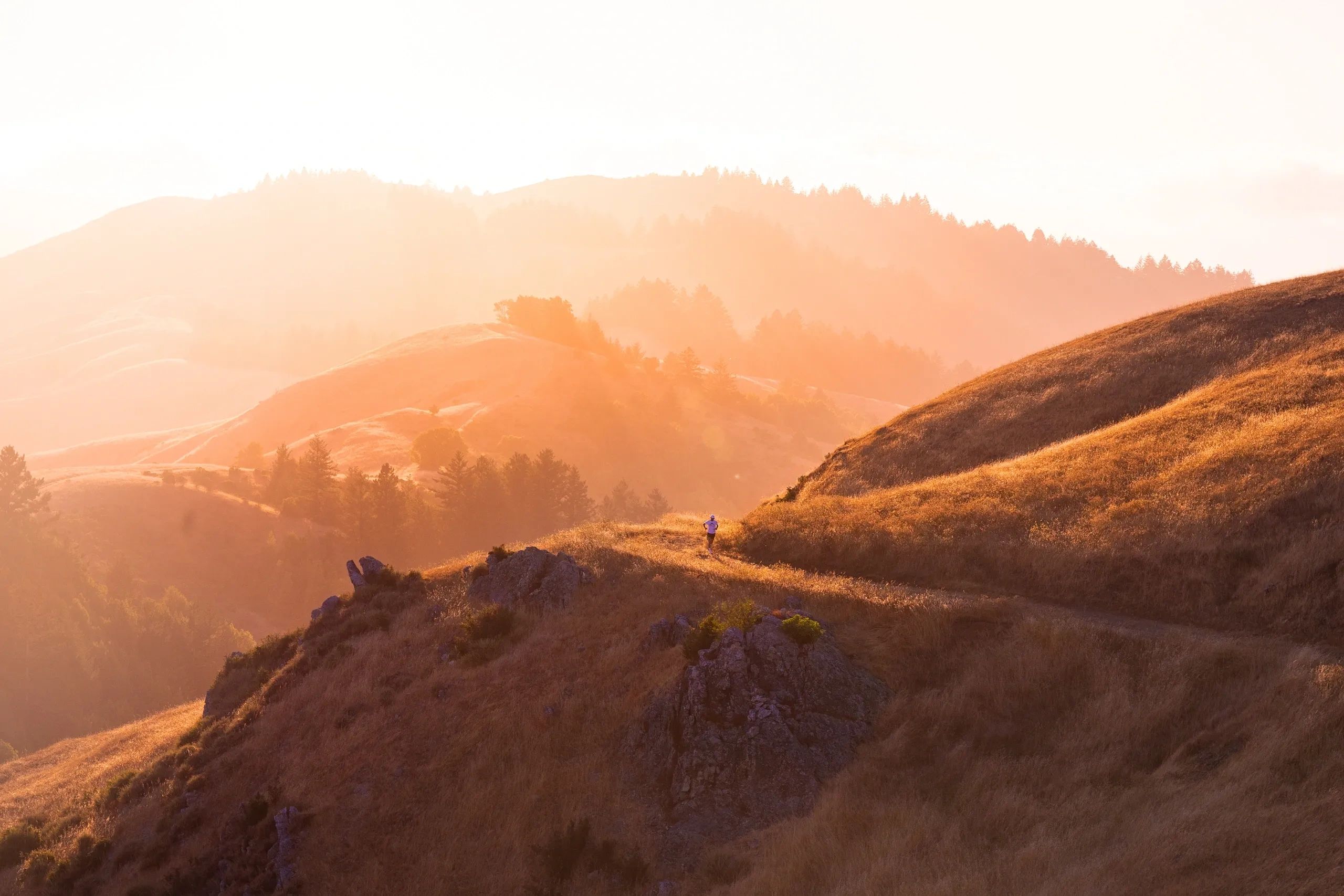 Pacific Endurance - Trail Running Coach, Ultra Running Coach