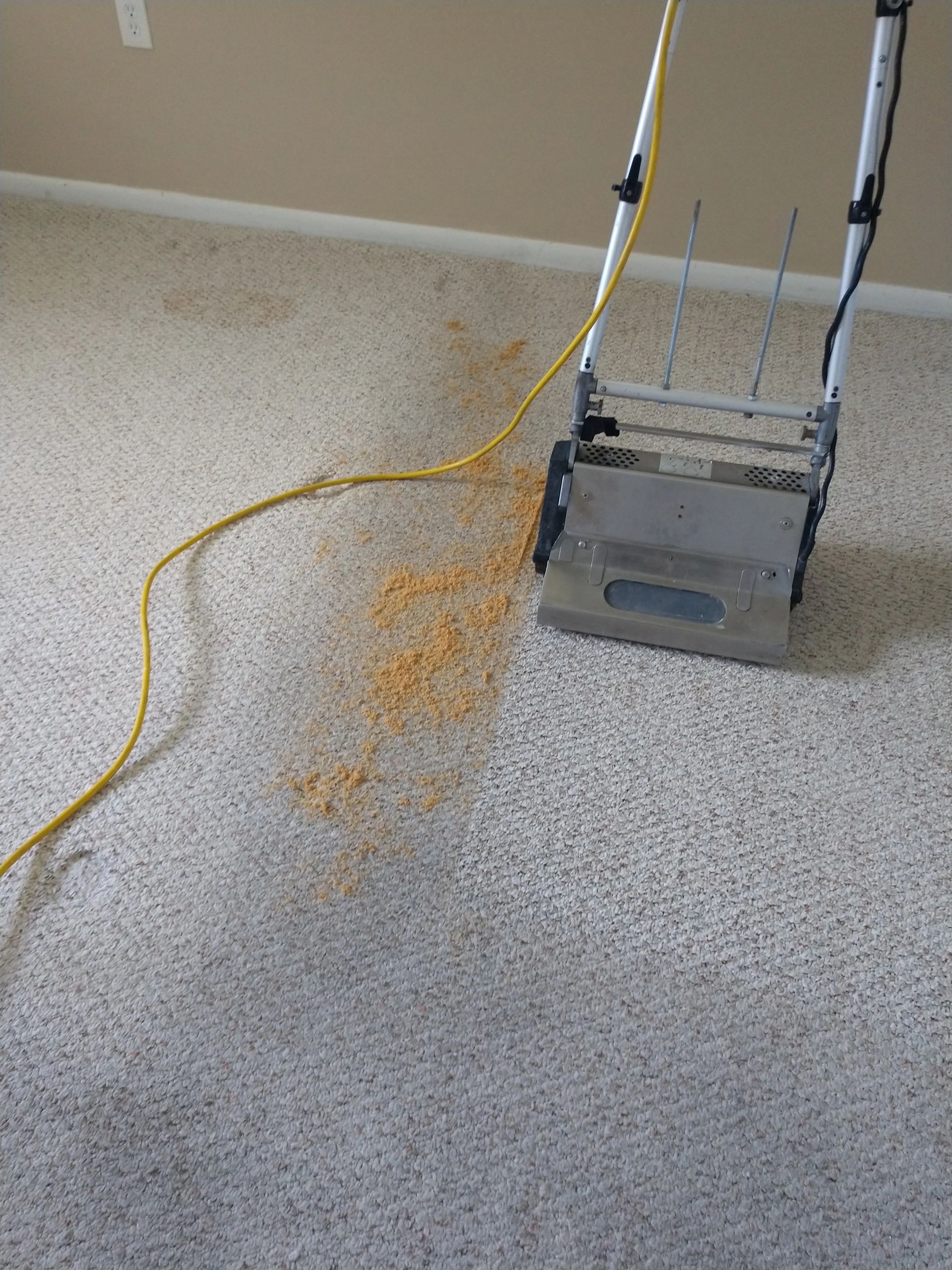 Gallery | Drake Carpet Services