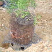 Plant Protection - Gopher Basket | Western Planting Solutions, Gopher ...