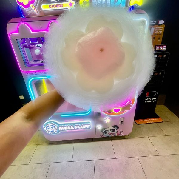 How It Started | Panda Fluff