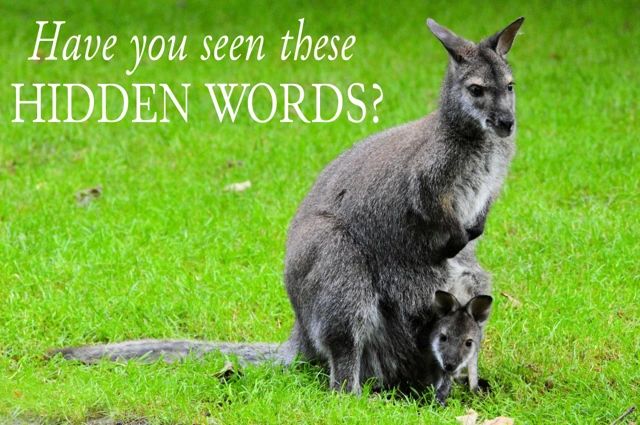 Hidden Words within Words