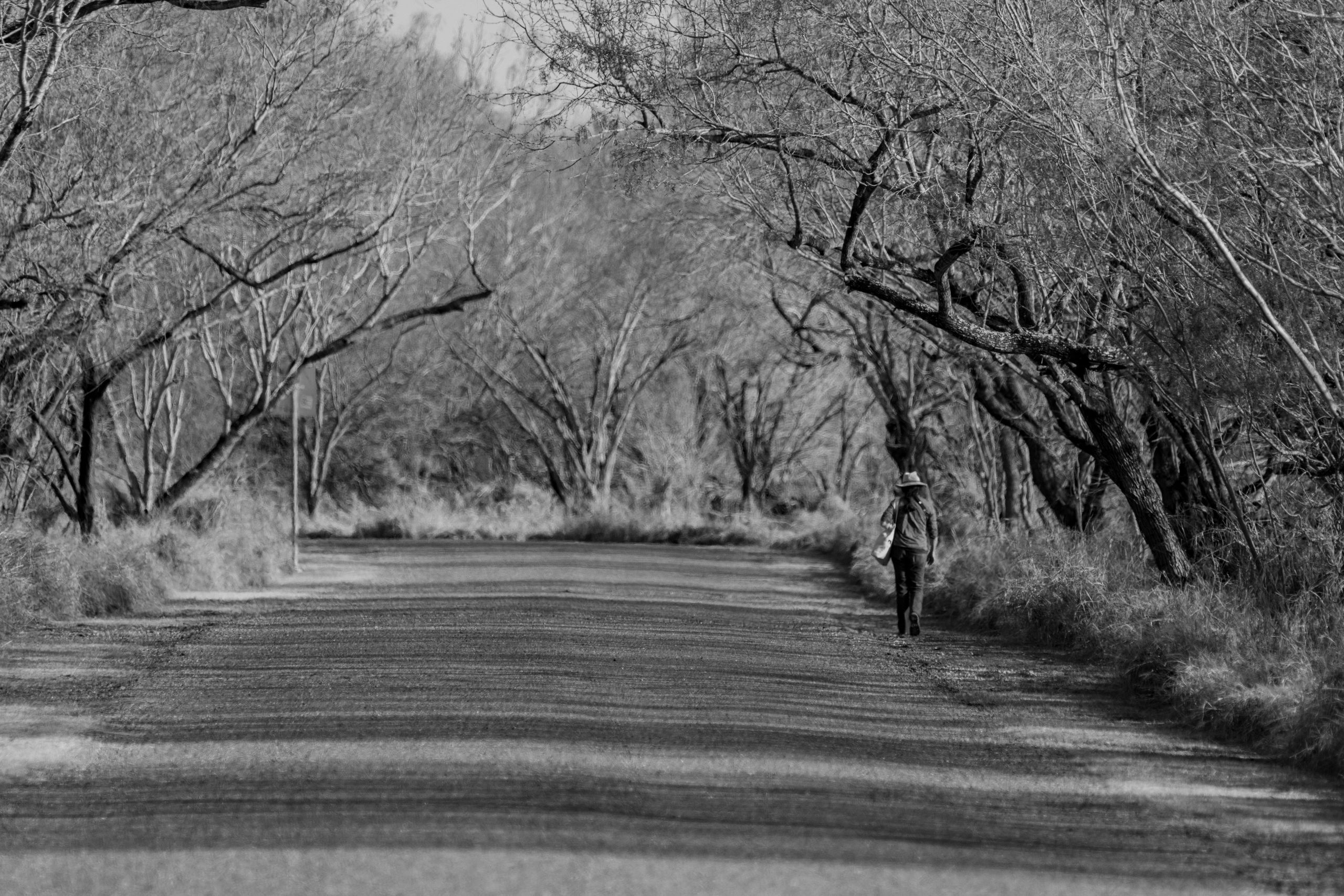 Infinity Photography Services